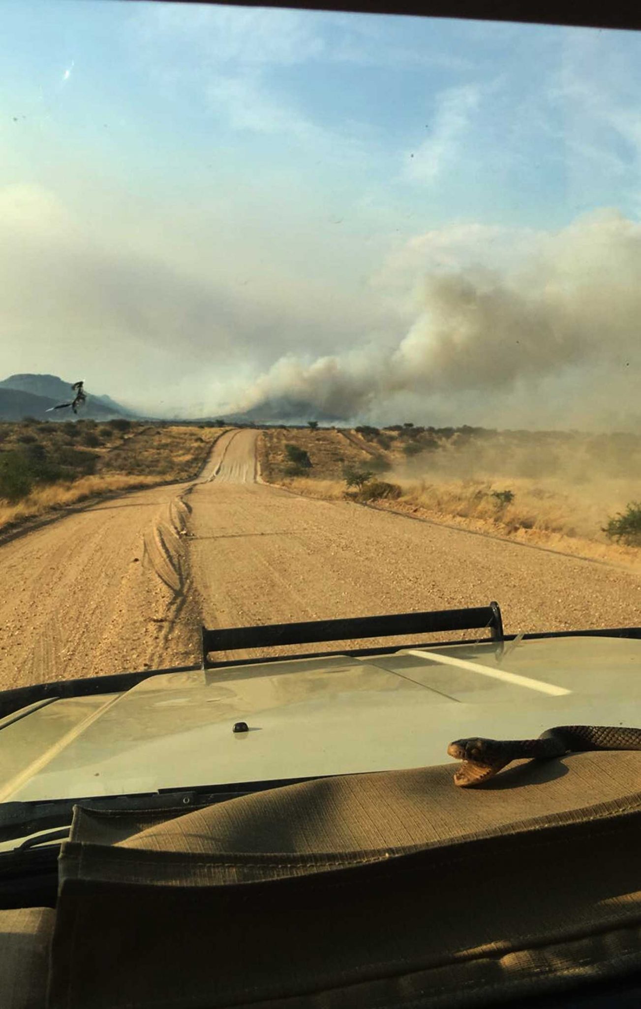 How to survive a bushfire in Namibia - Sue Where Why What