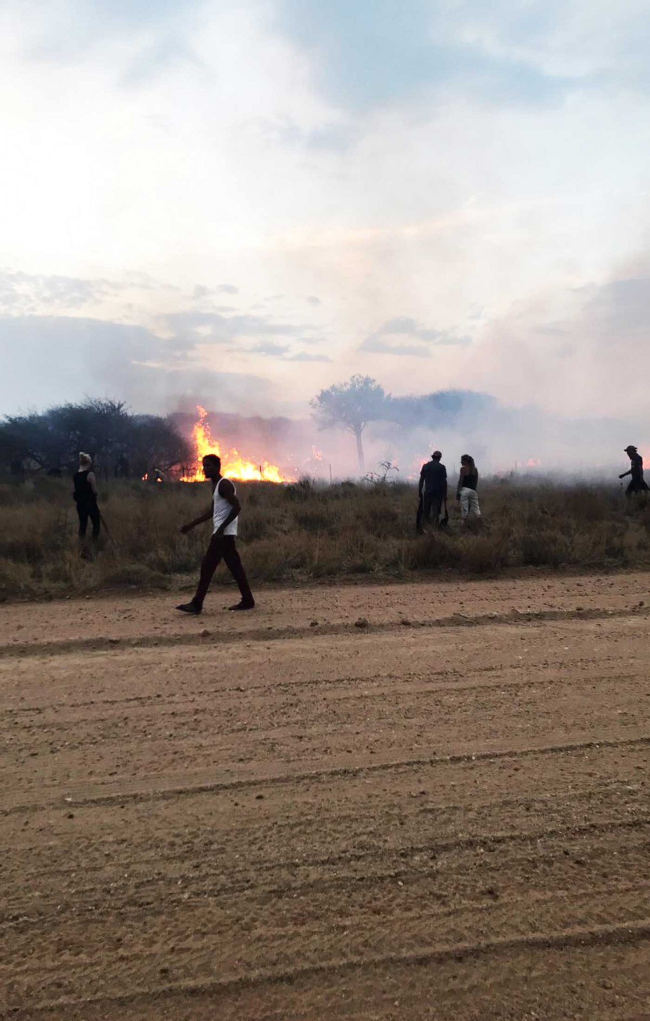 How to survive a bushfire in Namibia - Sue Where Why What