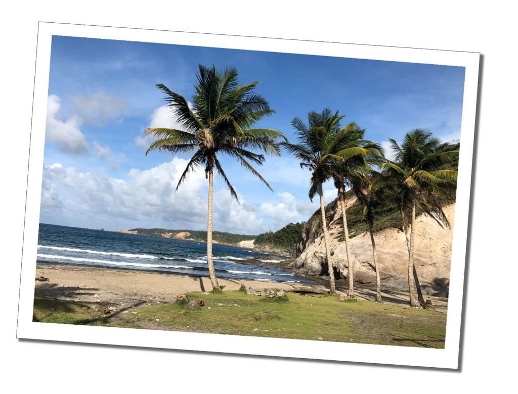 What To Do In Dominica – 21 Amazing Reasons To Visit The ‘Nature Island ...