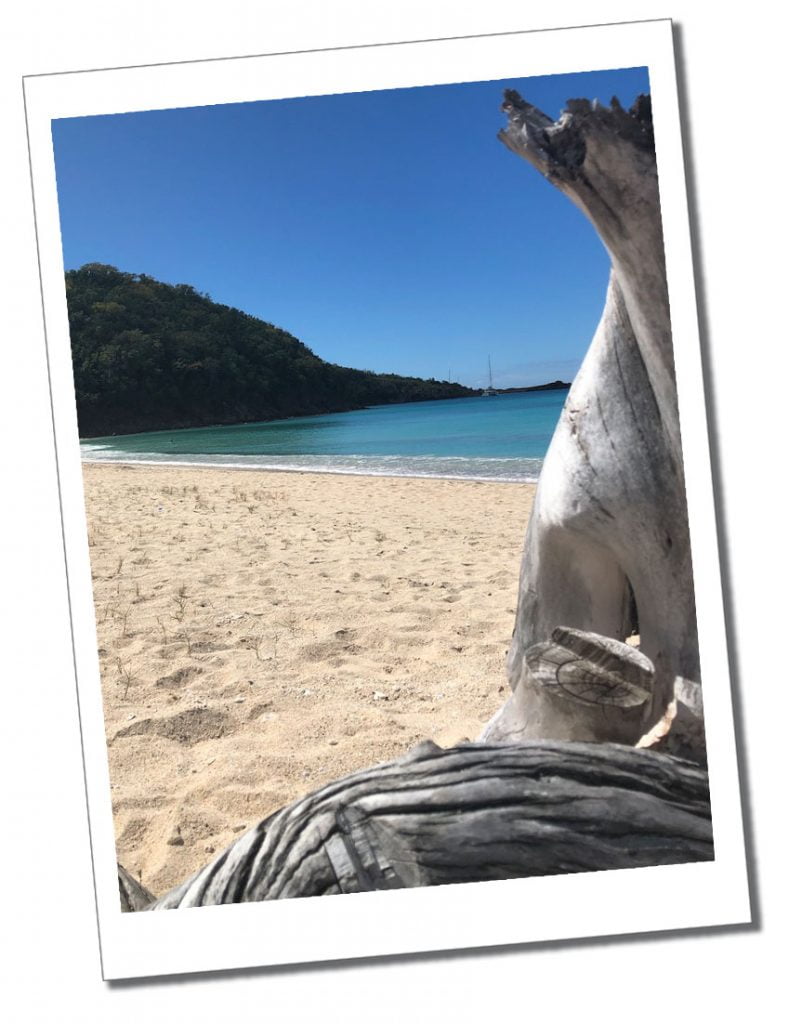 20 Best Things To Do In Antigua - A Local Perspective - Sue Where Why What