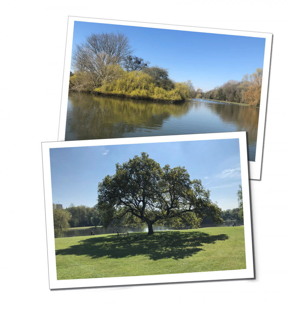 Finding Freedom Through Lockdown – Lessons Learned in 2021 - Sue Where ...