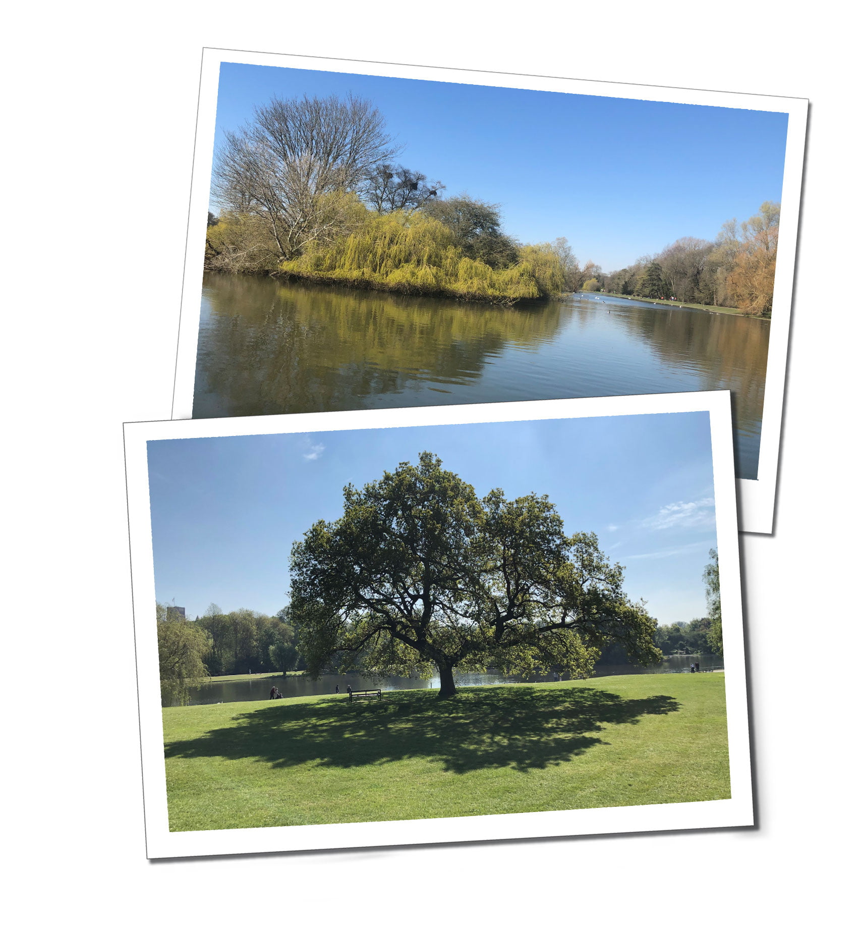 Finding Freedom Through Lockdown – Lessons Learned in 2021 - Sue Where ...