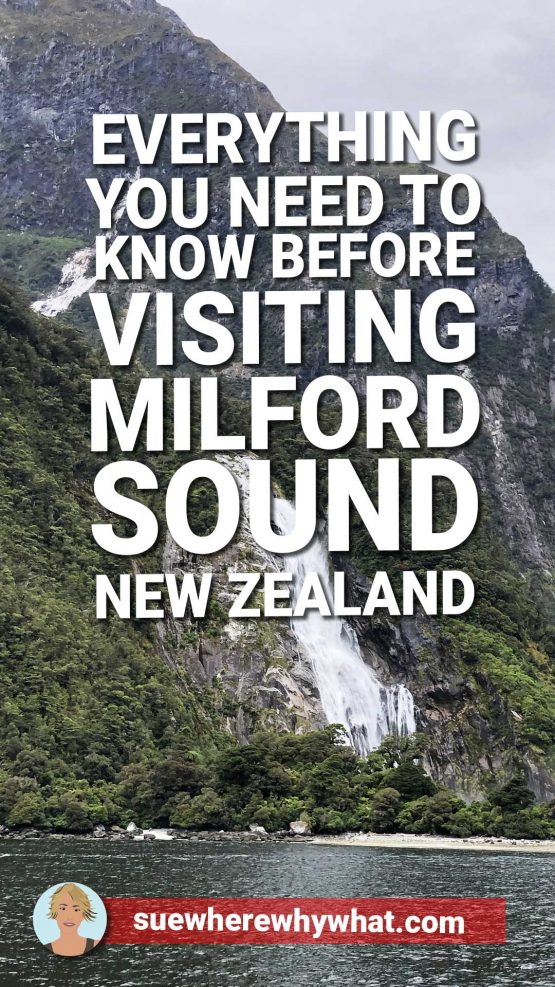 Everything you need to know before visiting Milford Sound - Sue Where ...