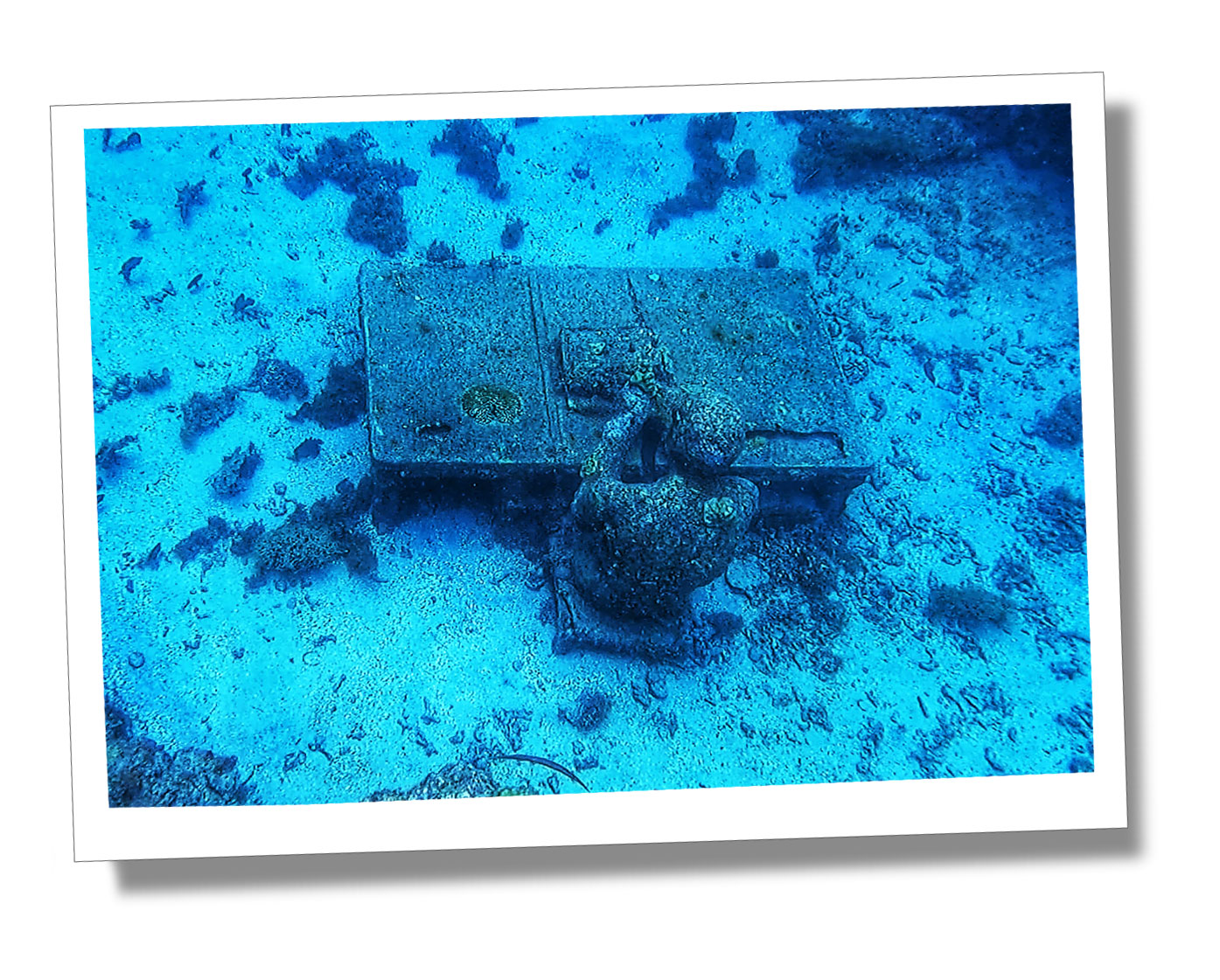 Diving the Molinere Underwater Sculpture Park, Grenada - Sue Where Why What