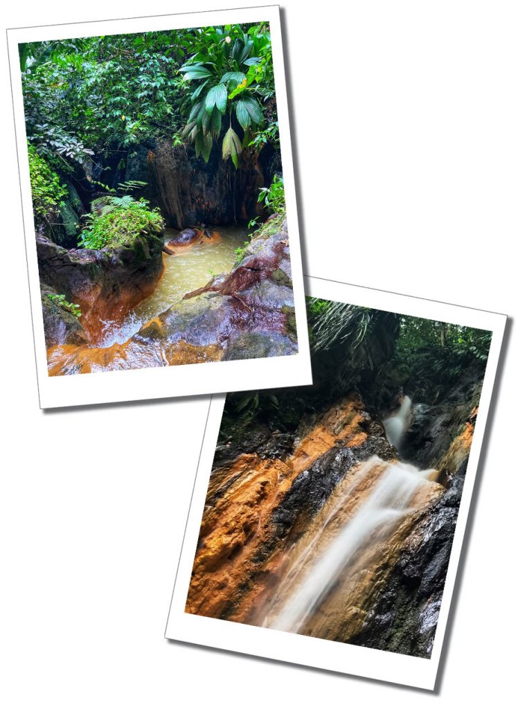 Your Ultimate Guide to the 7 Best Waterfalls in Grenada - Sue Where Why ...