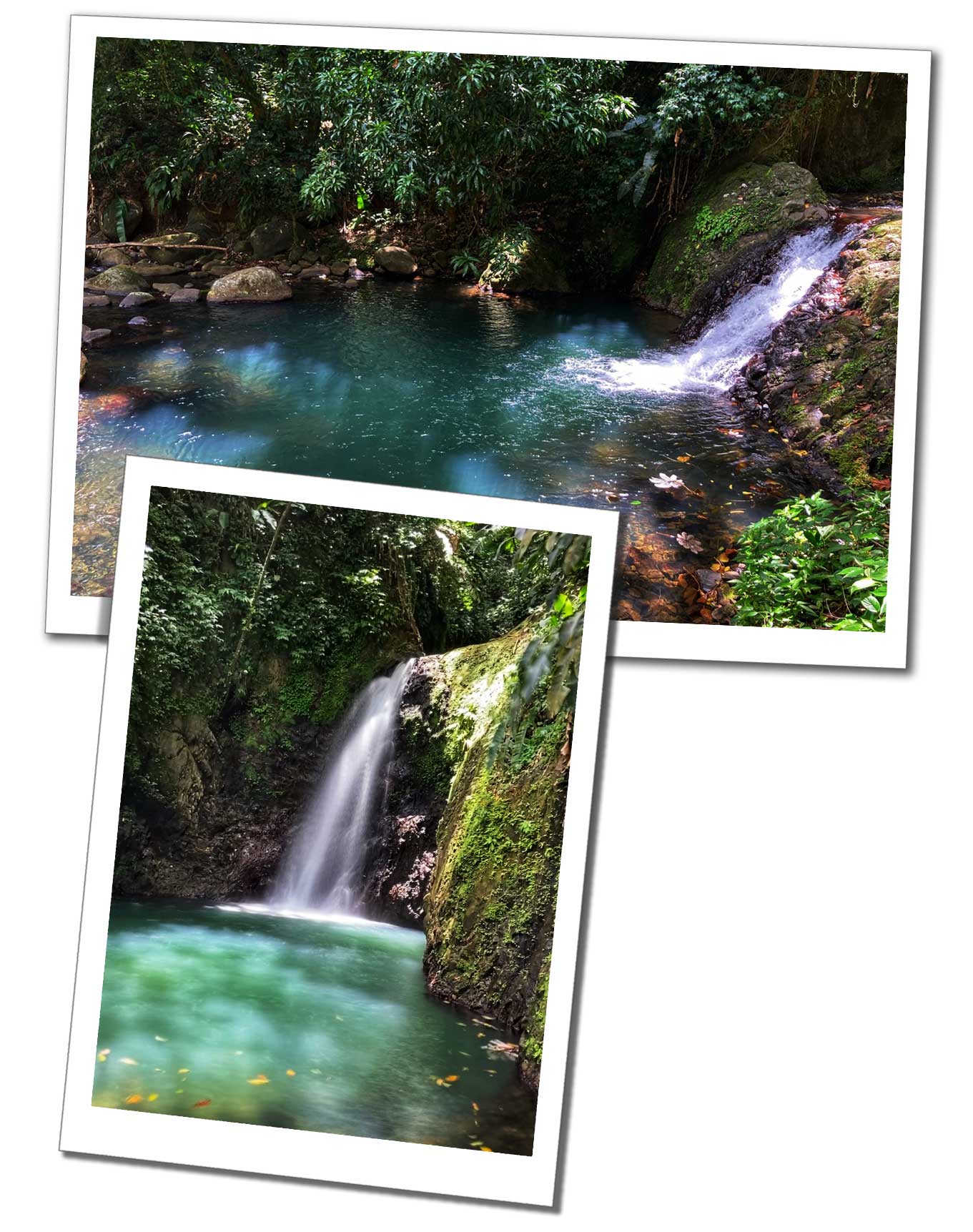 Your Ultimate Guide to the 7 Best Waterfalls in Grenada - Sue Where Why ...